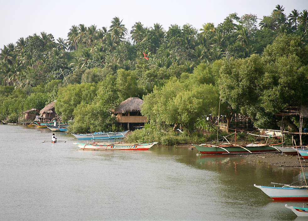 Donsol, The New Attraction of Philippines