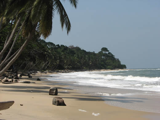 Favorite Places at West Africa's Gem - Gabon
