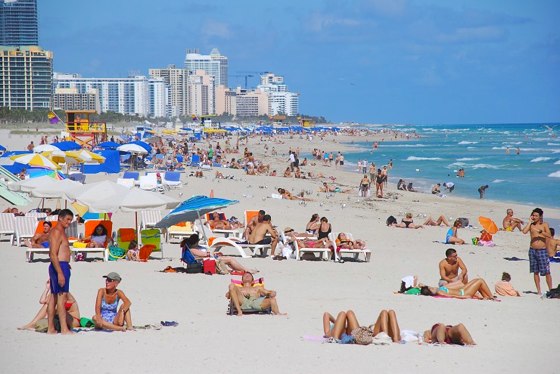 Top 5 Hot-spots of Miami!