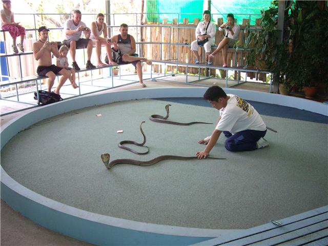 Amaze your Senses with the Beauty of Marvelous Phuket