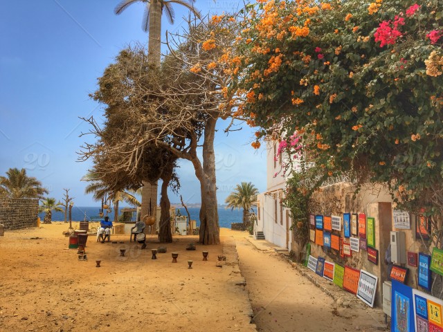 How to perk up your travel experience to Senegal? Find out here!